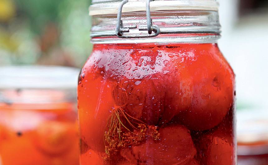 Marinēti tomāti ar plūmēm — Santa