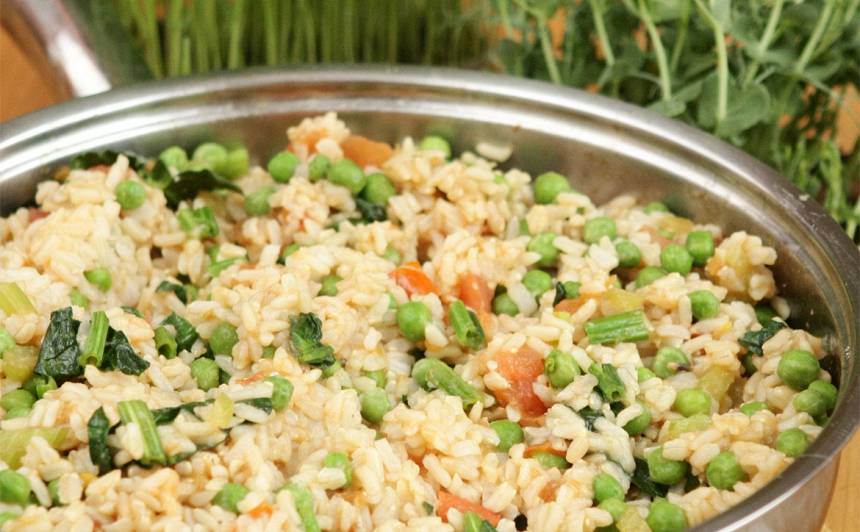 Otrās dienas rīsi — Santa