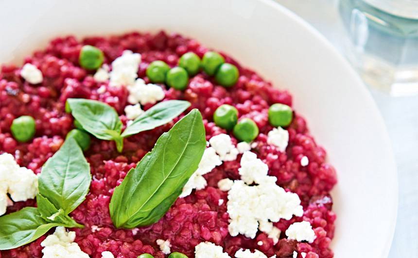 Biešu gruboto — Santa