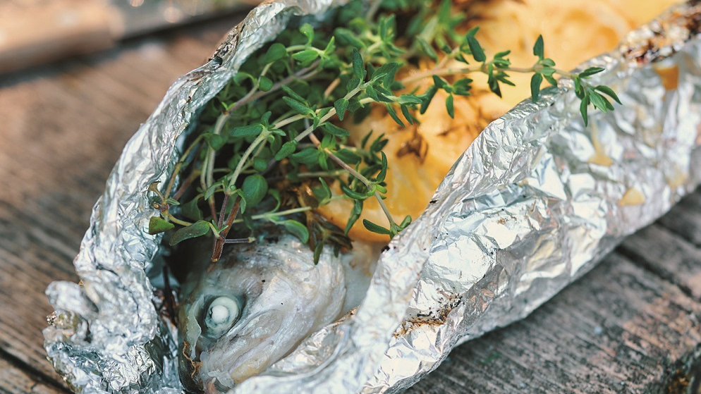 Ugunskurā cepta forele — Santa