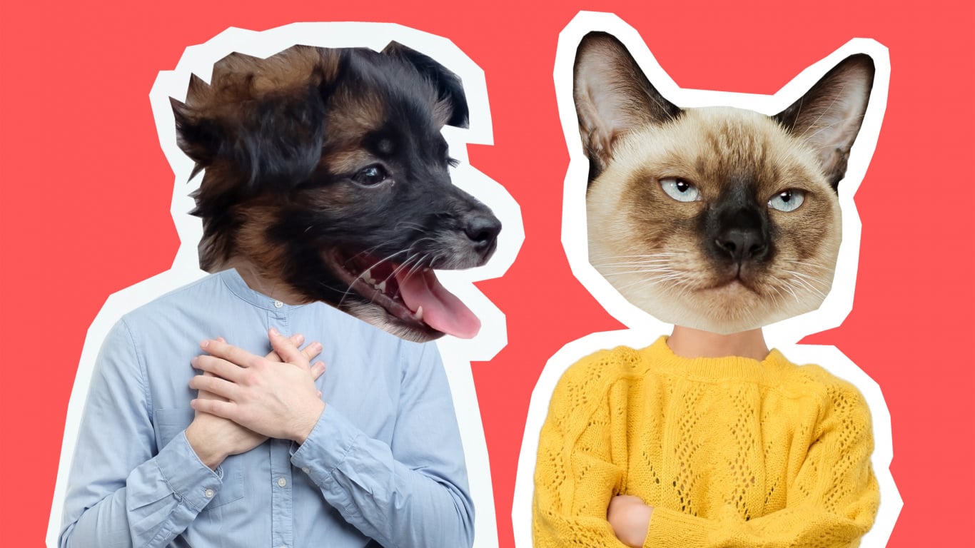 Personības tests: Kas tu esi — suņu cilvēks vai kaķu cilvēks? — Santa