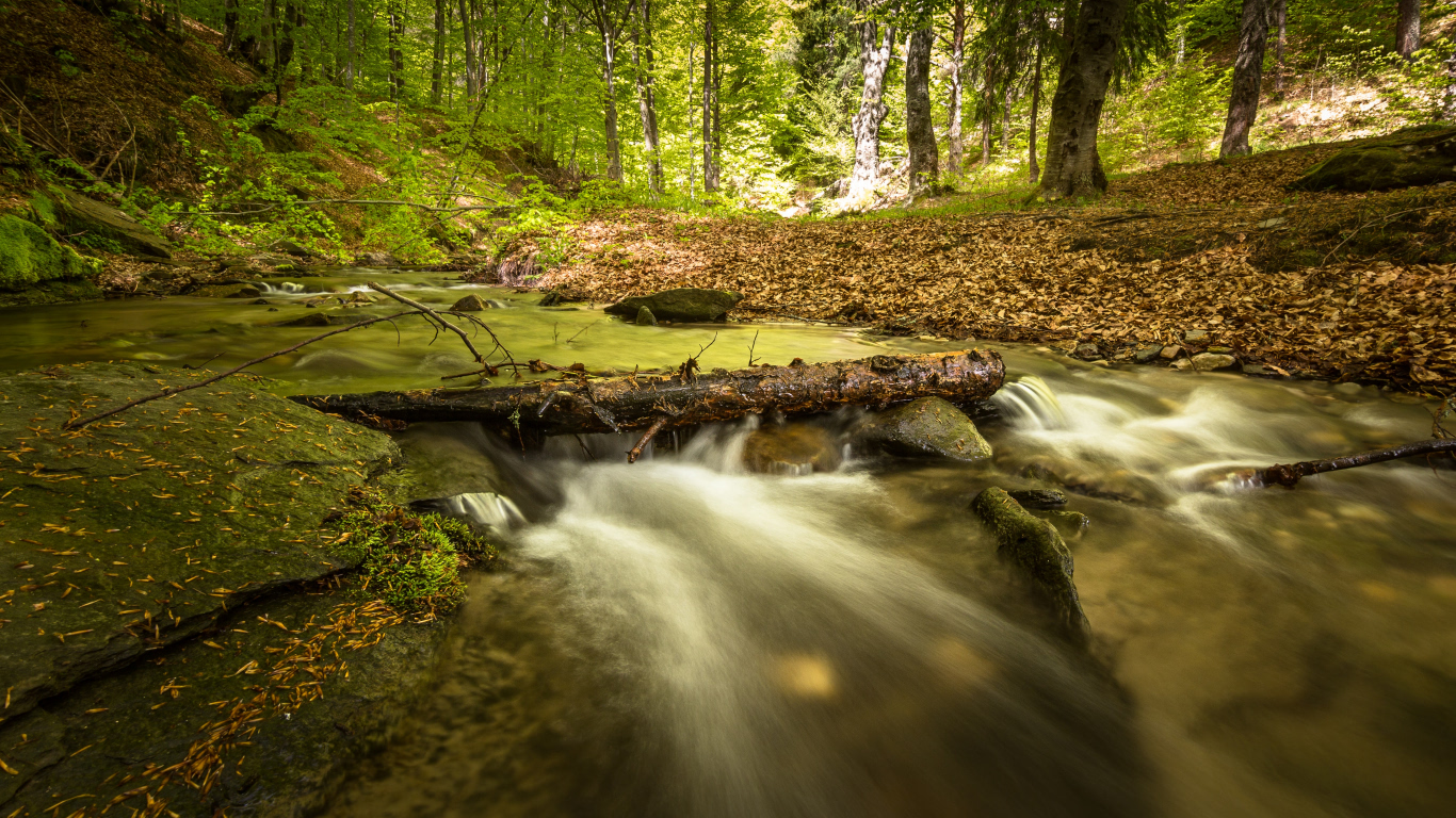 Kā pārliecināties vai avota ūdens ir dzerams? — Santa