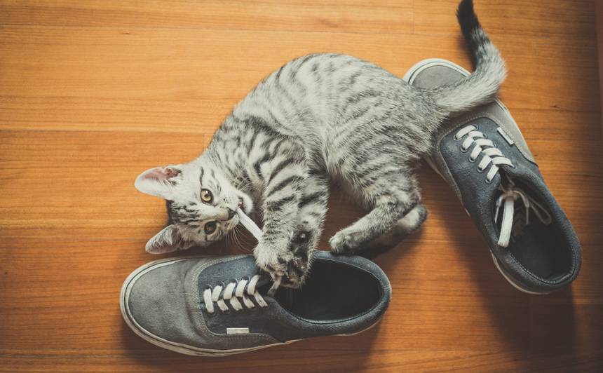 Veselīgas pastaigas senioriem gidu pavadībā – kur un kad? — Santa