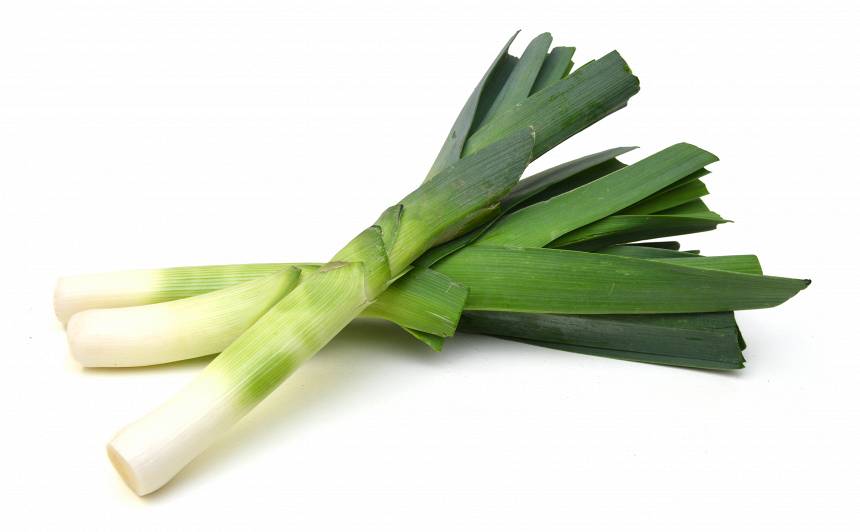 Laiks sēt puravus! Agronome iesaka labākās šķirnes — Santa