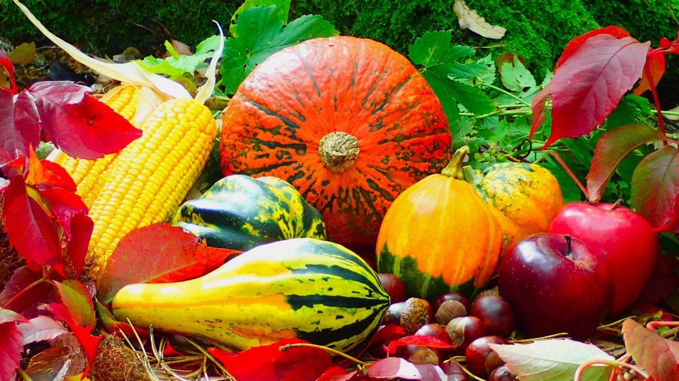 Oktobra darbi dārzā — Santa