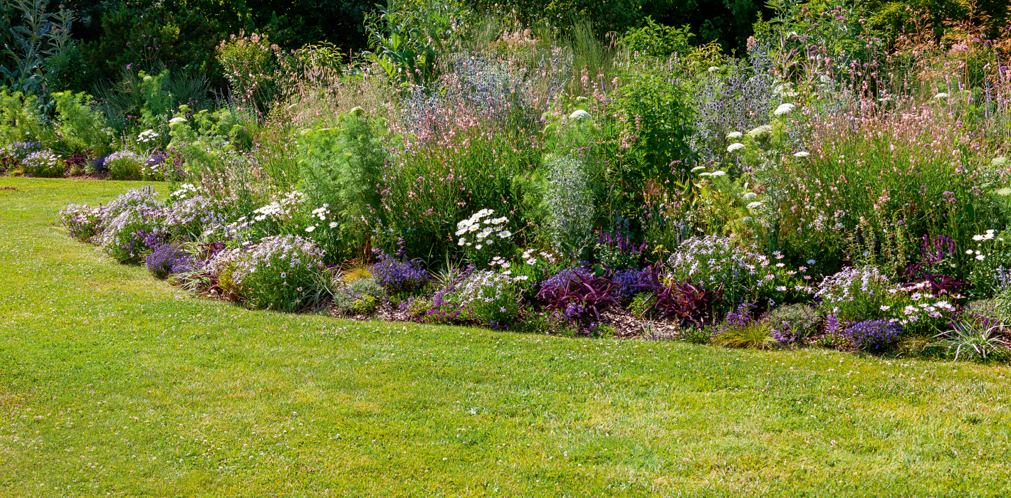 9 jautājumi un atbildes par zālienu — Santa