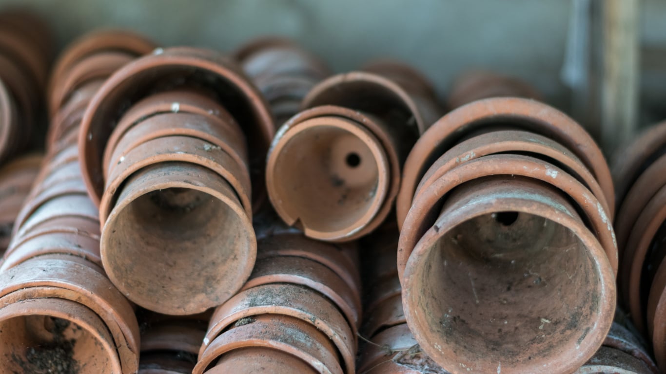 Dārza darbi februārī: puķu dārzs — Santa