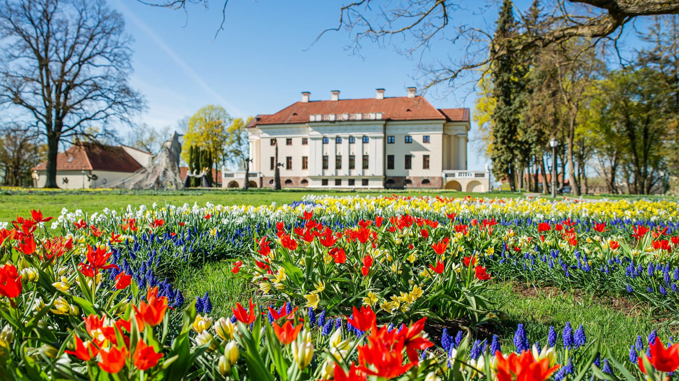 Foto: Tuvojas Pakrojas muižas ziedu festivāls. Vairāk nekā 5 miljoni ...