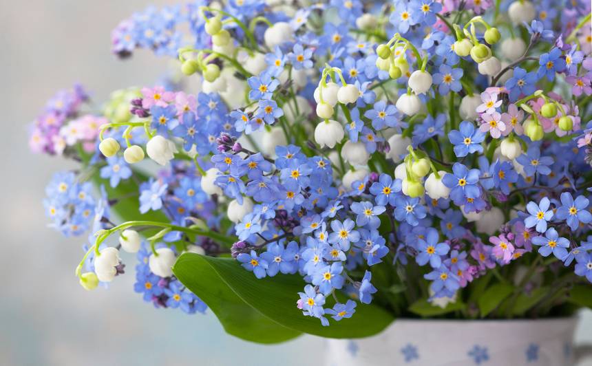 Ziedu horoskops maijā dzimušajiem. Ko ziedi stāsta par tavu raksturu un ...