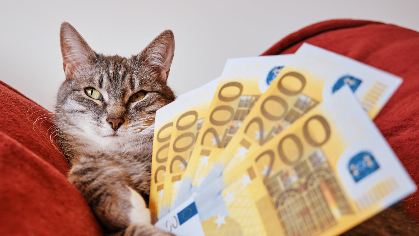 Horoskops 6. – 12. augustam: Kuram būs naudas pieplūdums, kuram ...