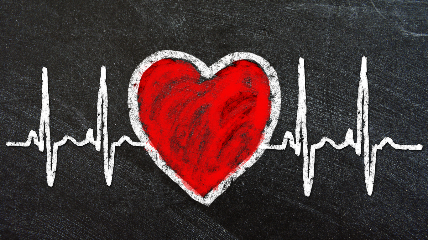 TESTS: Cik daudz tu zini par savu sirds un asinsvadu sistēmu? — Santa