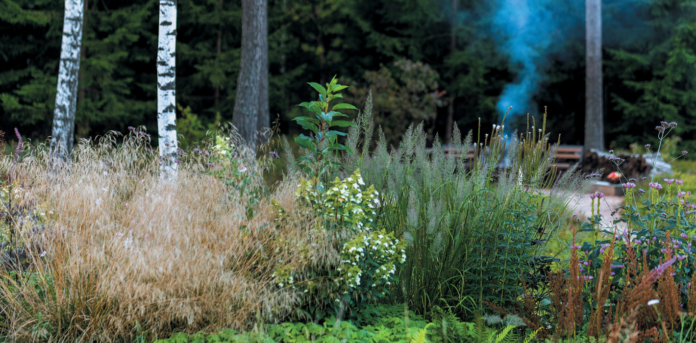 Stilīgais meža dārzs Mārupē, kas izskatās ideāli pat ziemā — Santa