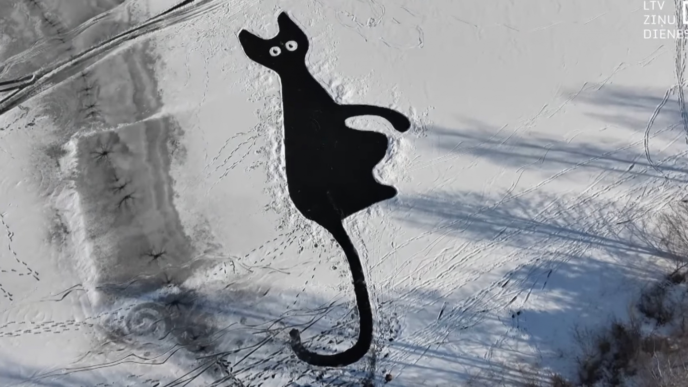 Cilvēkus Ādažos sajūsmina «Straumes» kaķis, ko redzēs pat no lidmašīnas ...