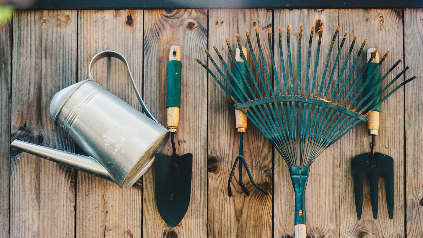 Dārza darbi nedēļas nogalei. Hortenzijas, ogulāji, sakņu dārzs un telpaugi — Santa